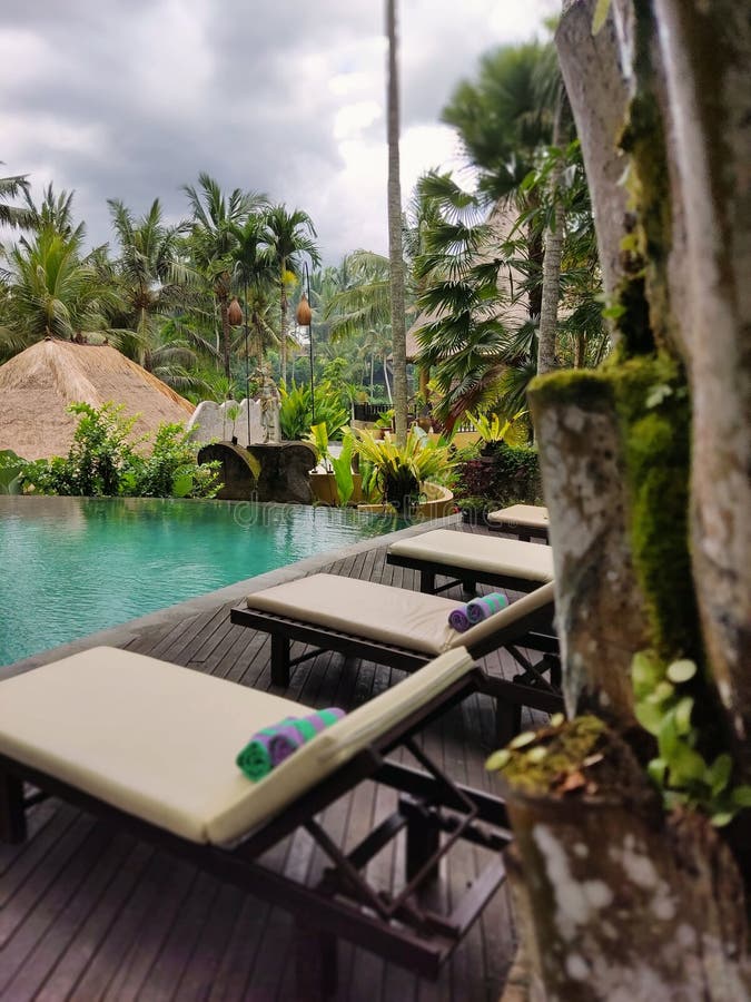 Poolside View by Sangkara Ubud Bali Stock Photo - Image of jungle, ubud ...