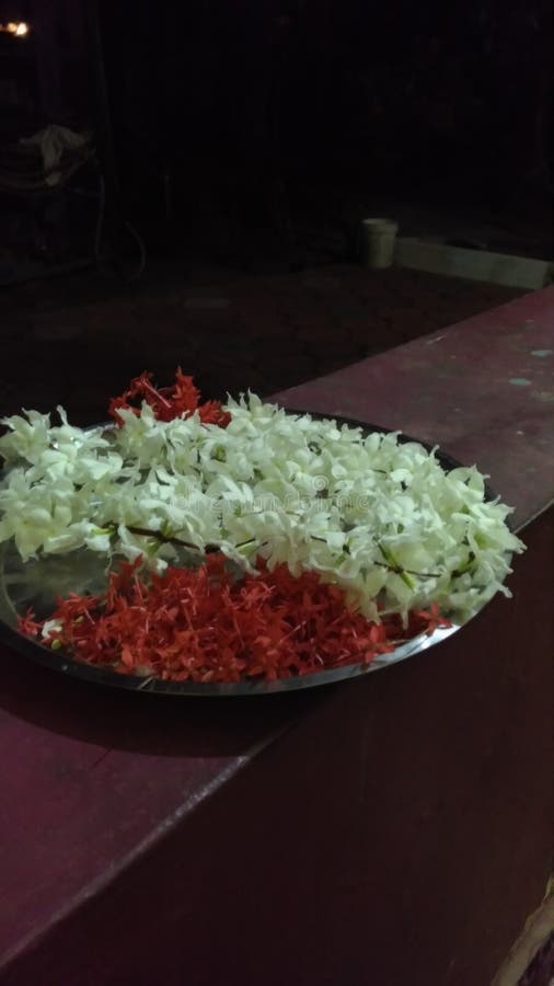 Poomala flower stock photo. Image of poomala, kerala - 119564504