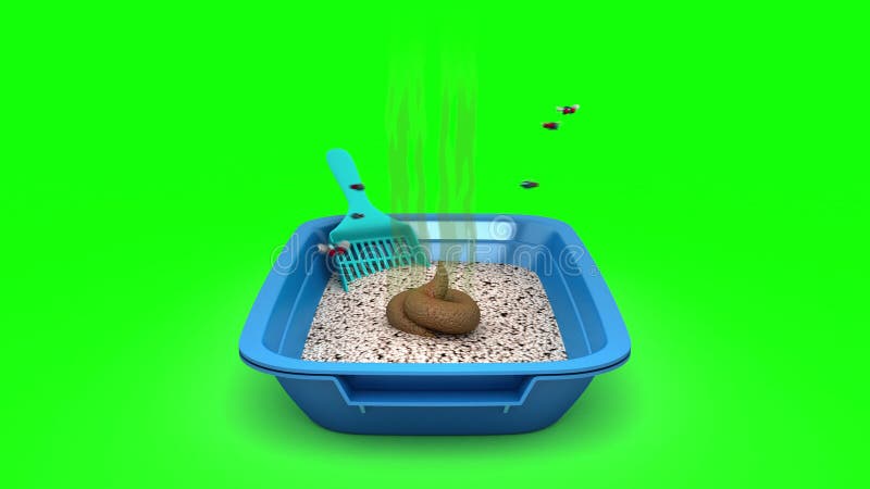 Smelly Poop with Flies. 3D Animation in Cartoon Style. Green Screen ...