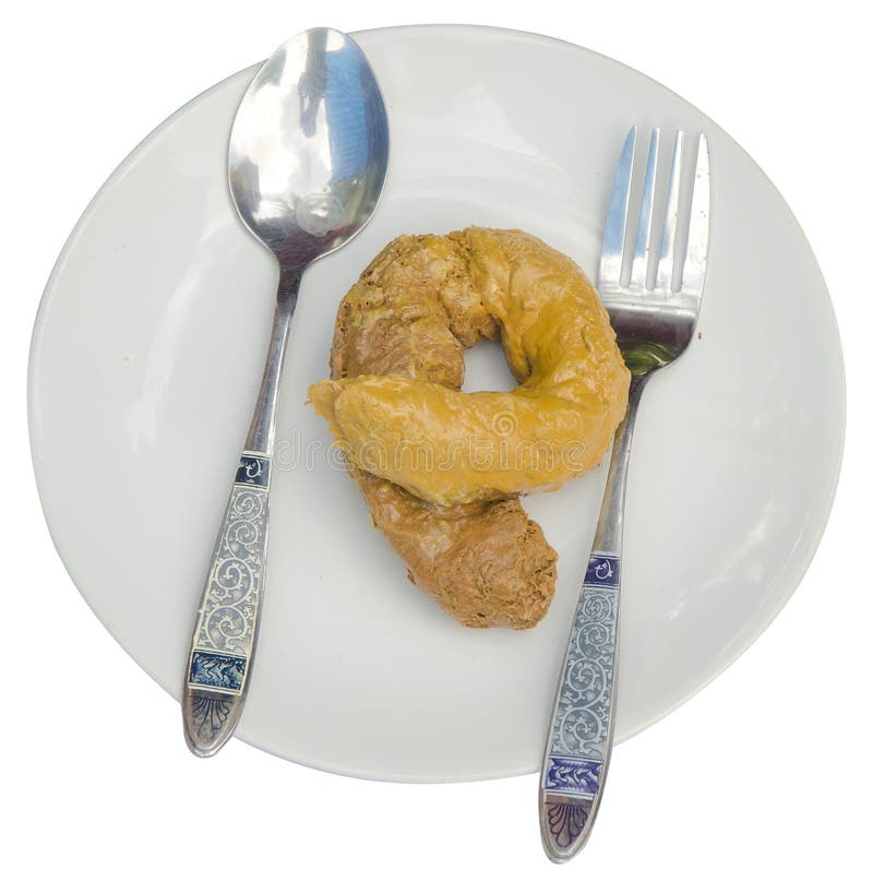 Poop ready to eat stock photo. Image of shot, disc, view - 41916036