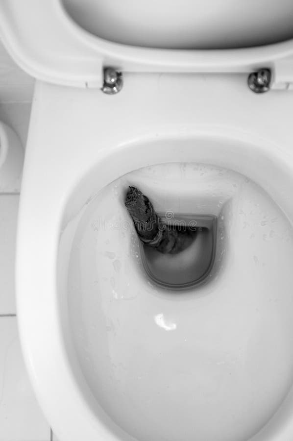 Shit in toilet stock image. Image of character, stink - 208514327