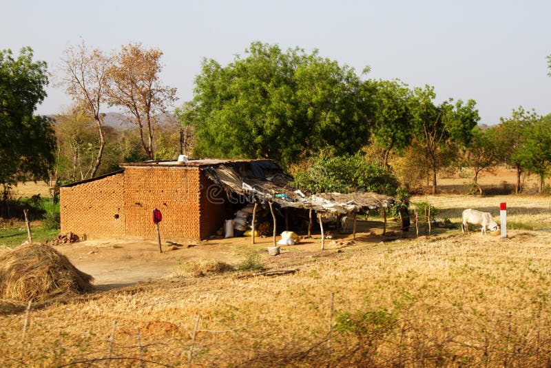 Poor farm. Madhya Pradesh stock image. Image of fields - 261144527