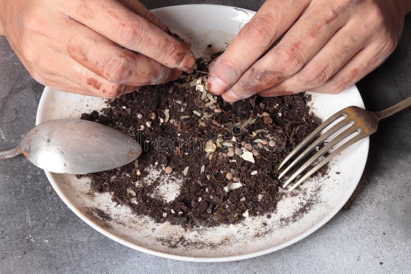 Poor food stock image. Image of toxic, poverty, junk - 43540999