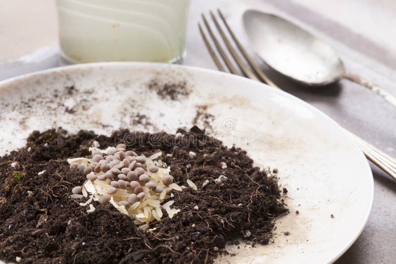 Poor food stock image. Image of dirty, tramp, food, hunger - 54336229