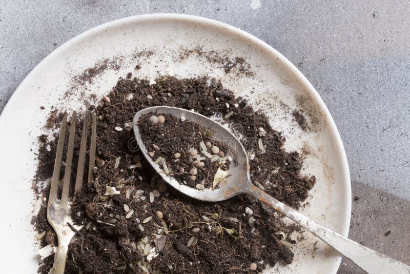 Poor food stock image. Image of brown, breakfast, lunch - 57186253