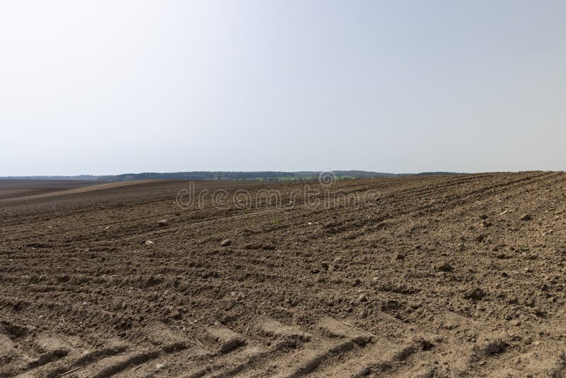 Poor Infertile Soil in the Field in the Spring after Plowing Stock ...