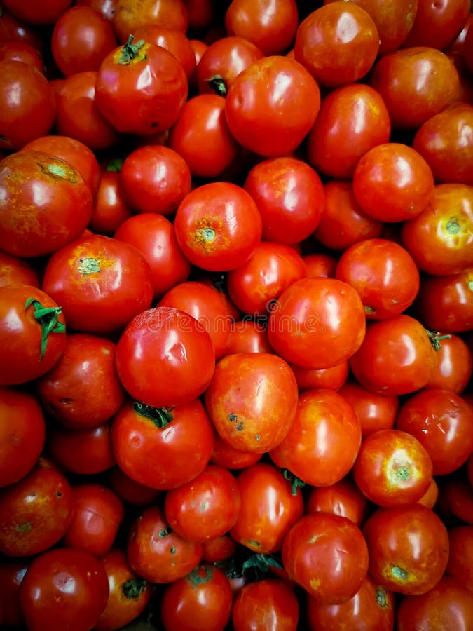 Poor Quality Red Tomatoes with Defects. Stock Image - Image of nutrient ...