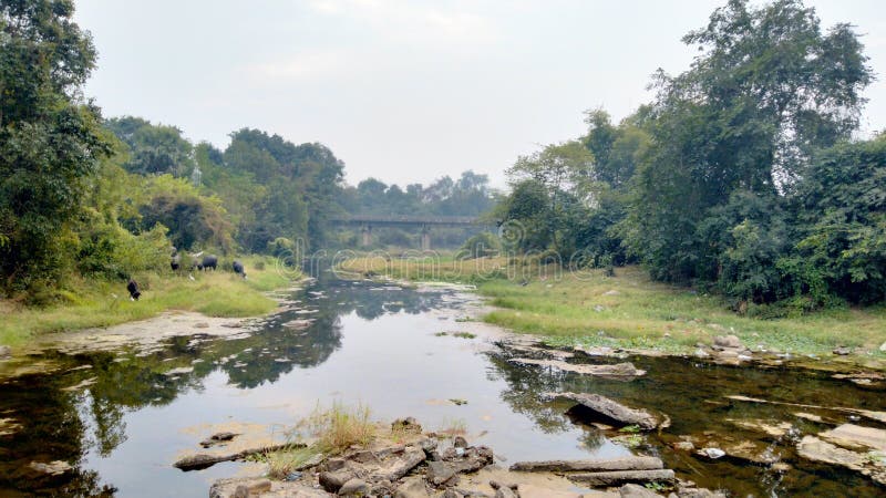 A poor river stock image. Image of river, poor, wilderness - 274571229