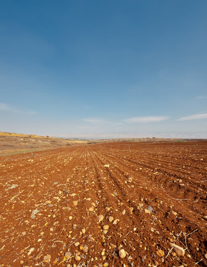 3,925 Poor Soil Stock Photos - Free & Royalty-Free Stock Photos from ...