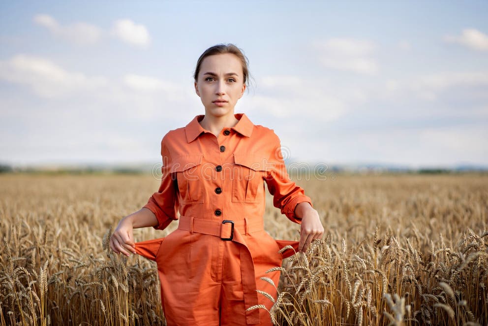 Poor Wheat Harvest. Lack of Grain Stock Photo - Image of harvester ...