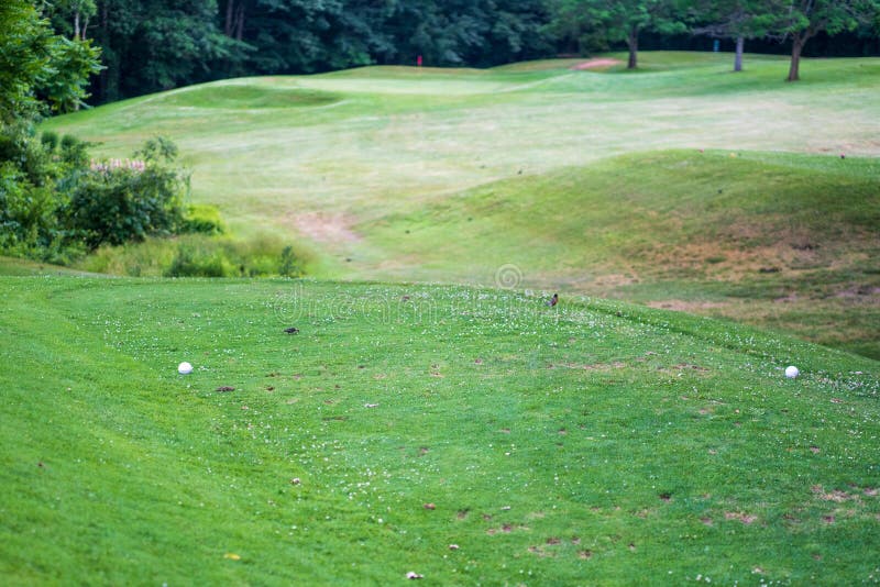 Poorly Maintained Cheap Golf Course Stock Photo - Image of recreation ...
