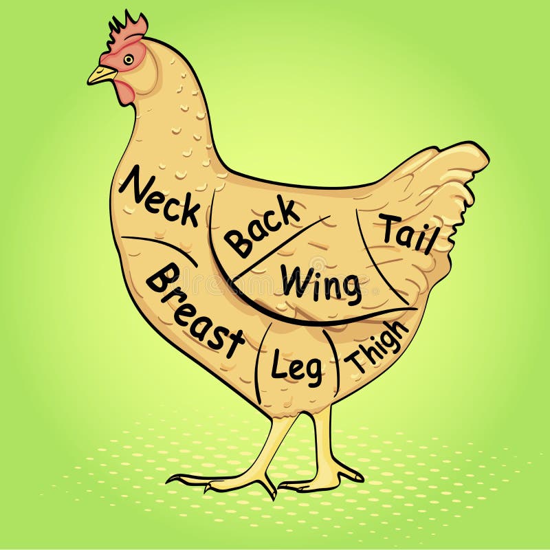 Chicken Carcass Stock Illustrations – 489 Chicken Carcass Stock ...