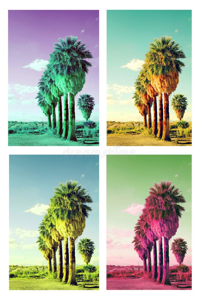 3,607 Pop Art Water Scouting Stock Photos - Free & Royalty-Free Stock ...