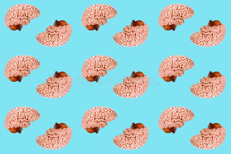 Pop Art Poster Multicolored Scattered Models of the Human Brain ...