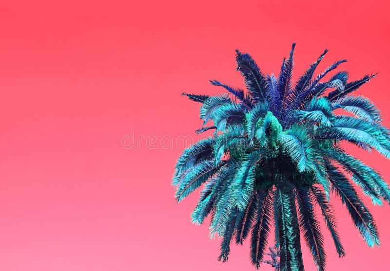 Pop Art Surreal Style Blue Palm Tree on Coral Pink Background with Copy ...