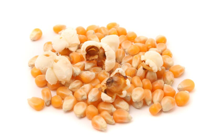 Pop corn stock photo. Image of isolated, grain, agriculture - 19133010