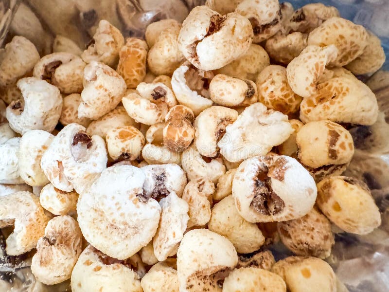 Corn Puffs Free Stock Photos - Free & Royalty-Free Stock Photos from ...