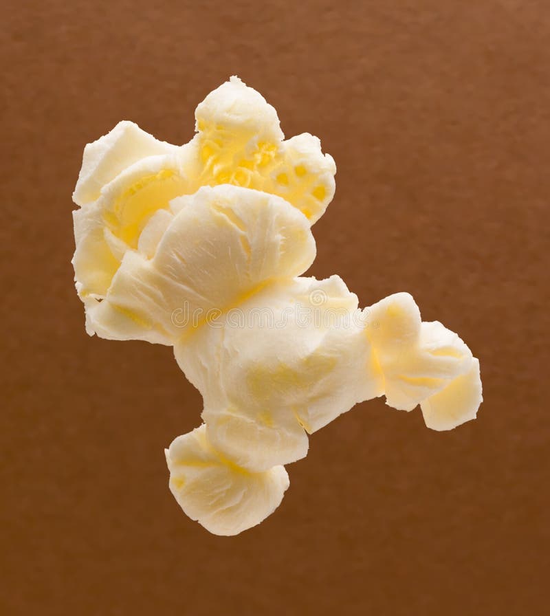 Raw popcorn isolated stock photo. Image of grain, cereal - 11776776
