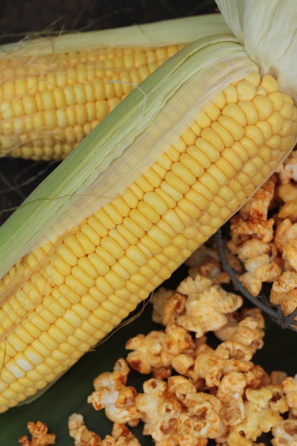 Popcorn with Butter and Fresh Corn Cob. Stock Image - Image of snack ...