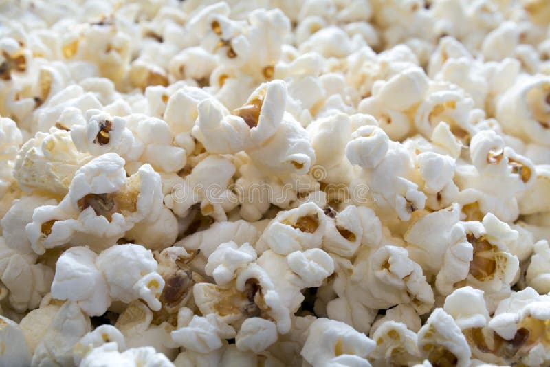 Field Of Popcorn Plagiobothrys Wildflowers, North Table Mountain ...