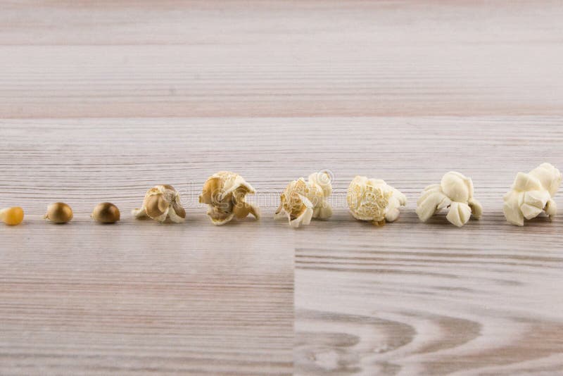 Popcorn Cooked in a Microwave Oven at Home: the Different Stages of the ...