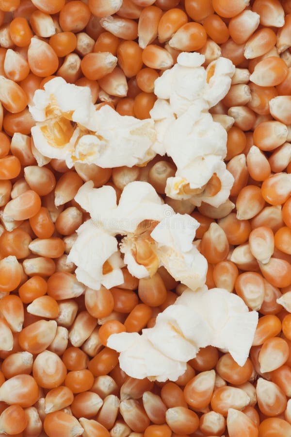 Popcorn and corn stock image. Image of corn, unhealthy - 24346623