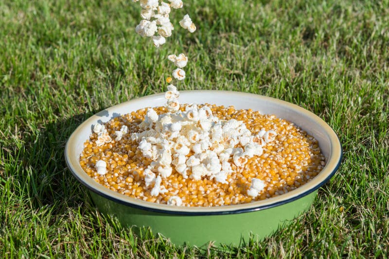 Popcorn Corn and Falling Popcorn in a Bowl on Grass Stock Photo - Image ...