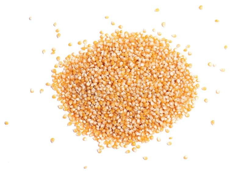 Popcorn corn - Raw grain stock image. Image of texture - 213704097