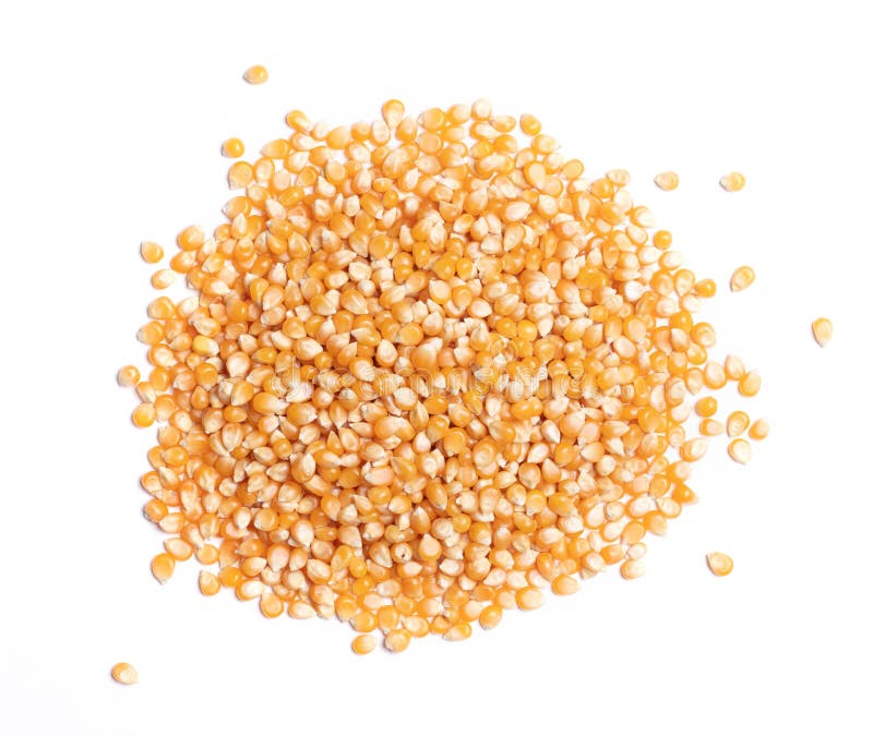 Popcorn corn - Raw grain stock photo. Image of yellow - 215908382