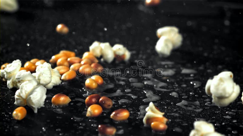 Popcorn Explodes in a Pan with a Splash of Oil. Filmed on a High-speed ...