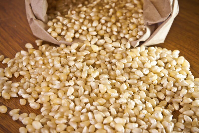Popcorn kernels stock photo. Image of ingredients, closeup - 22138588