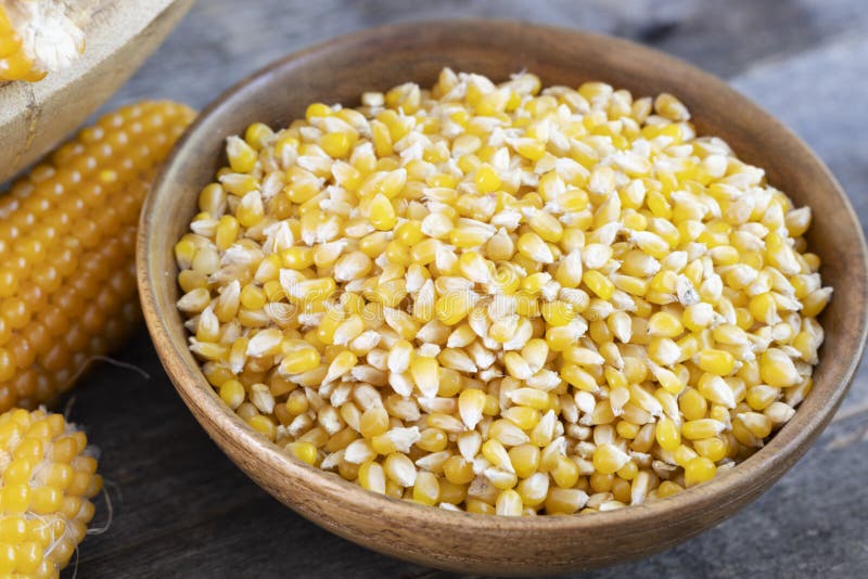 Popcorn Kernels in a Bowl stock image. Image of kernels - 255684419
