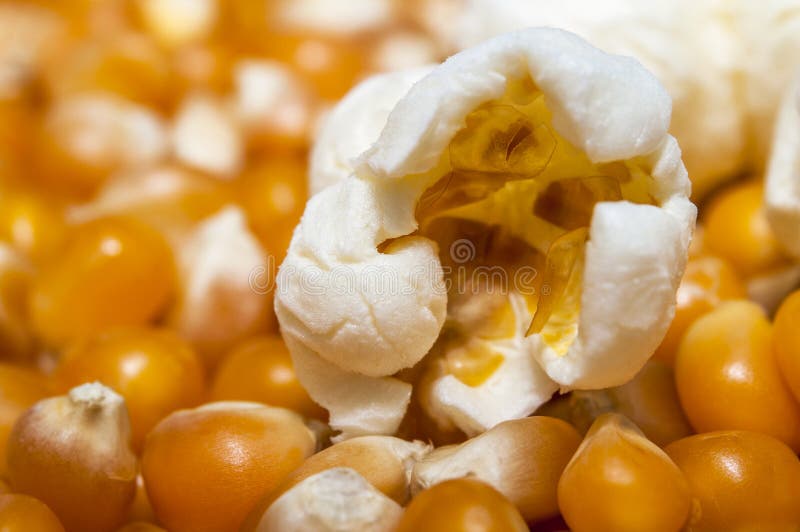 Close- up popcorn stock image. Image of movie, entertainment - 37754853