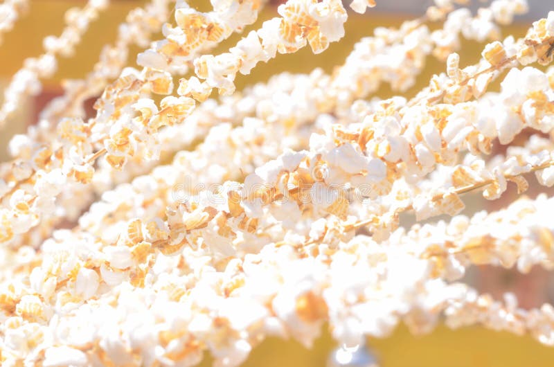Popcorn Line in Thailand Style Stock Image - Image of color, delicious ...