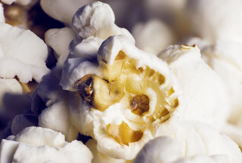 Popcorn macro photo stock photo. Image of macro, corn - 226568216