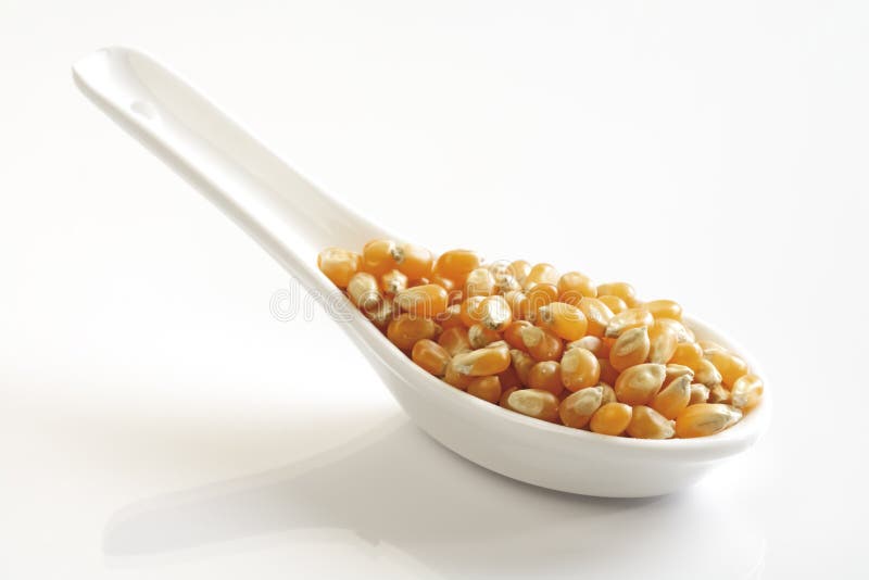 Popcorn maize. stock image. Image of corn, nutrition - 164221487