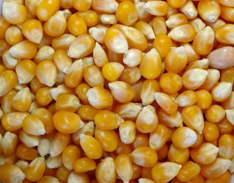 Popcorn, Texture Background Stock Image - Image of snack, dish: 231290891