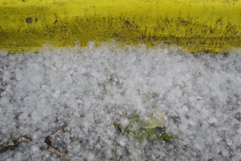 Poplar fluff lies stock image. Image of light, allergen - 97721797