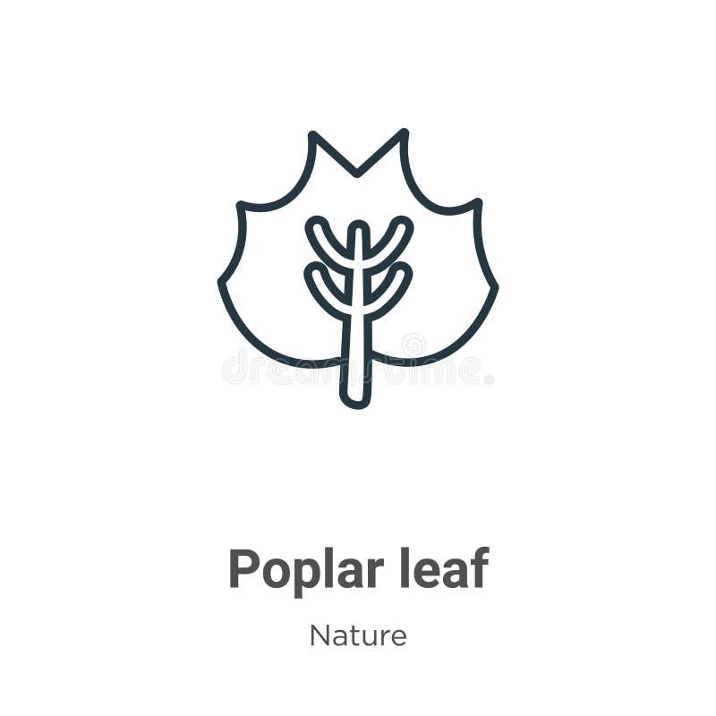 Poplar Leaf Outline Vector Icon. Thin Line Black Poplar Leaf Icon, Flat ...