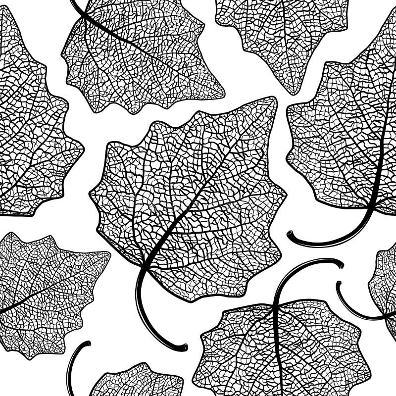 Leaf Skeleton Pattern Stock Illustrations – 2,102 Leaf Skeleton Pattern ...