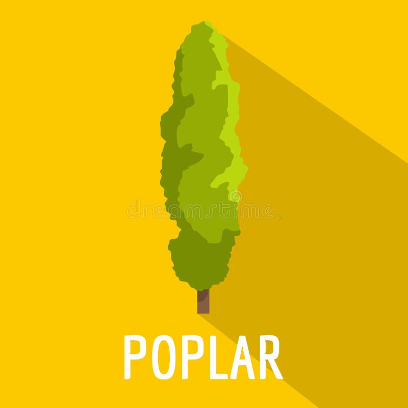 Poplar Tree Icon, Flat Style Stock Vector - Illustration of shadow ...