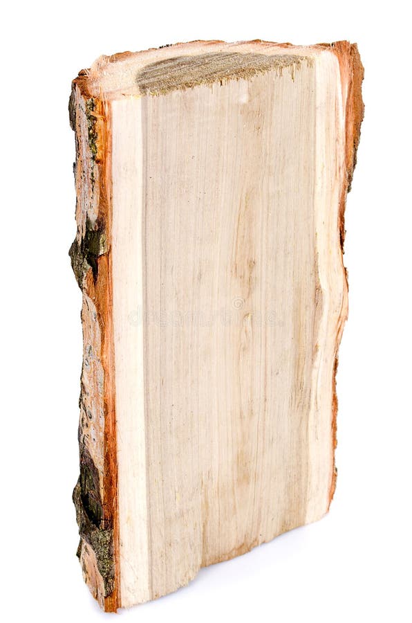 Poplar Tree Log on a White Background Stock Photo - Image of firewood ...
