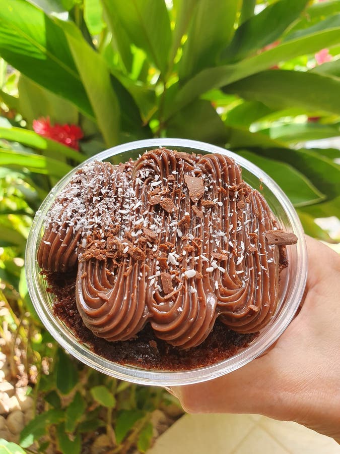 Popota De Coco De Chocolate Con Pastel Imagen de archivo - Imagen de ...