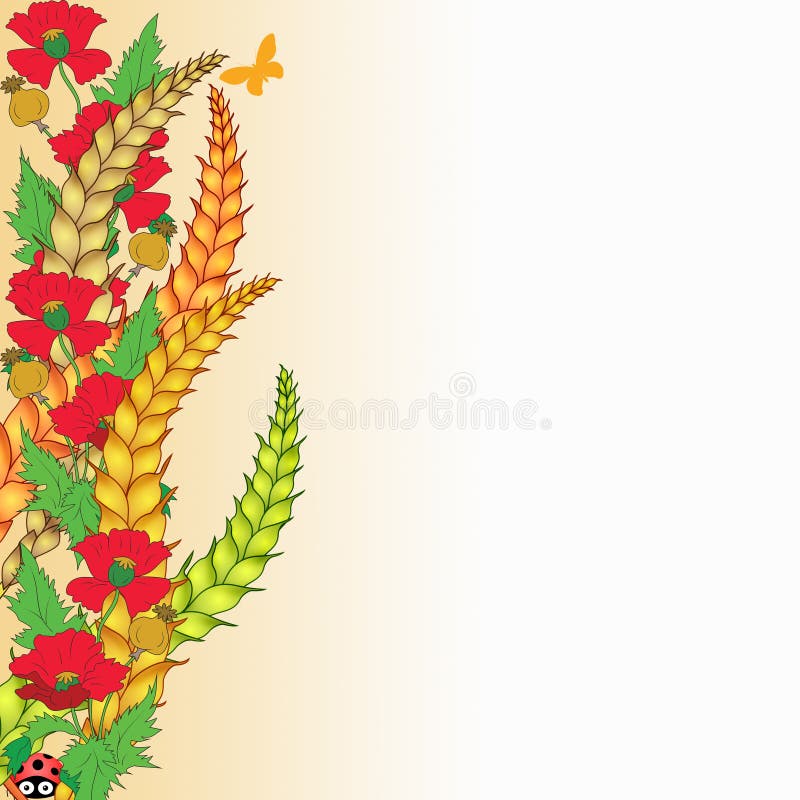 Poppies and Corn stock vector. Illustration of plant, flowers - 8583890