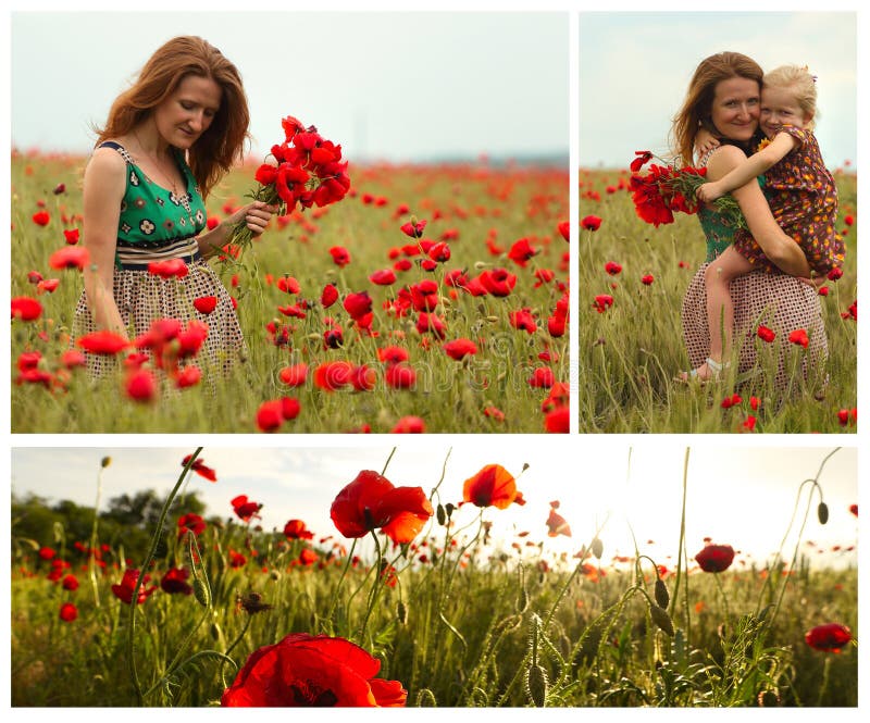 Poppies field stock photo. Image of collage, happy, flowers - 31903336