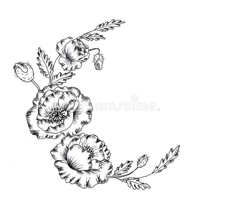 Semicircle Floral Frame with Lavender Twigs and Rose Buds Vector ...