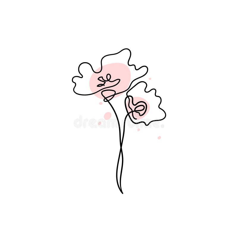 Poppies Flower Continuous Line Drawing Abstract Minimal Poppy Stock