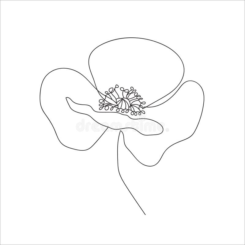Poppies Flower Continuous Line Drawing Abstract Minimal Poppy