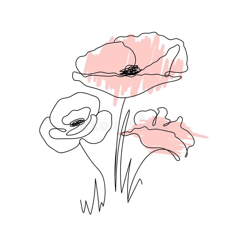 Poppies Flower Continuous Line Drawing Abstract Minimal Poppy Stock
