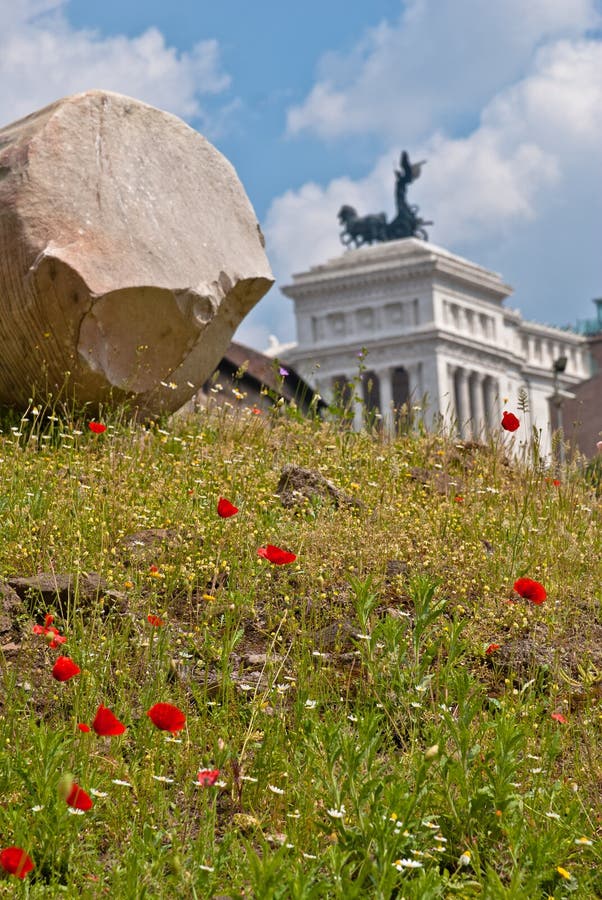 Poppies in rome stock photo. Image of life, close, approaching - 26775408